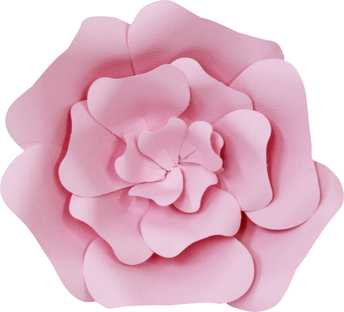 Congratulations! The PNG Image Has Been Downloaded (Paper Flower Pink ...