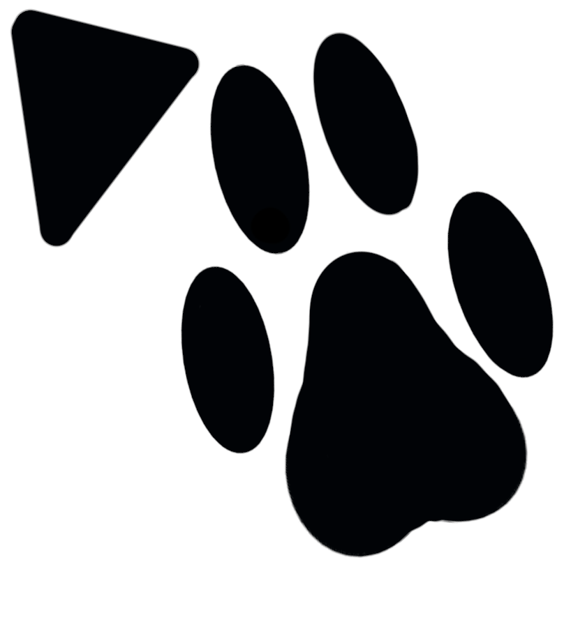 Congratulations! The PNG Image Has Been Downloaded (Vatanii Custom ...