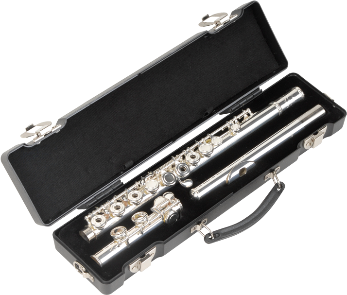 Congratulations! The PNG Image Has Been Downloaded (Piccolo Instrument ...