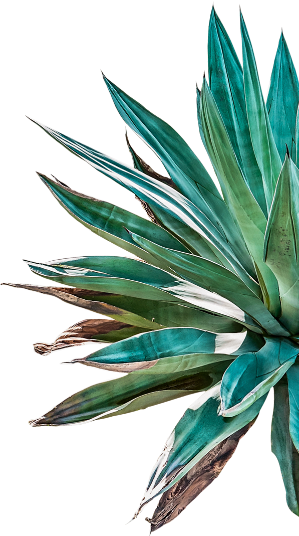 Congratulations! The PNG Image Has Been Downloaded (Telefono Vector Png ...