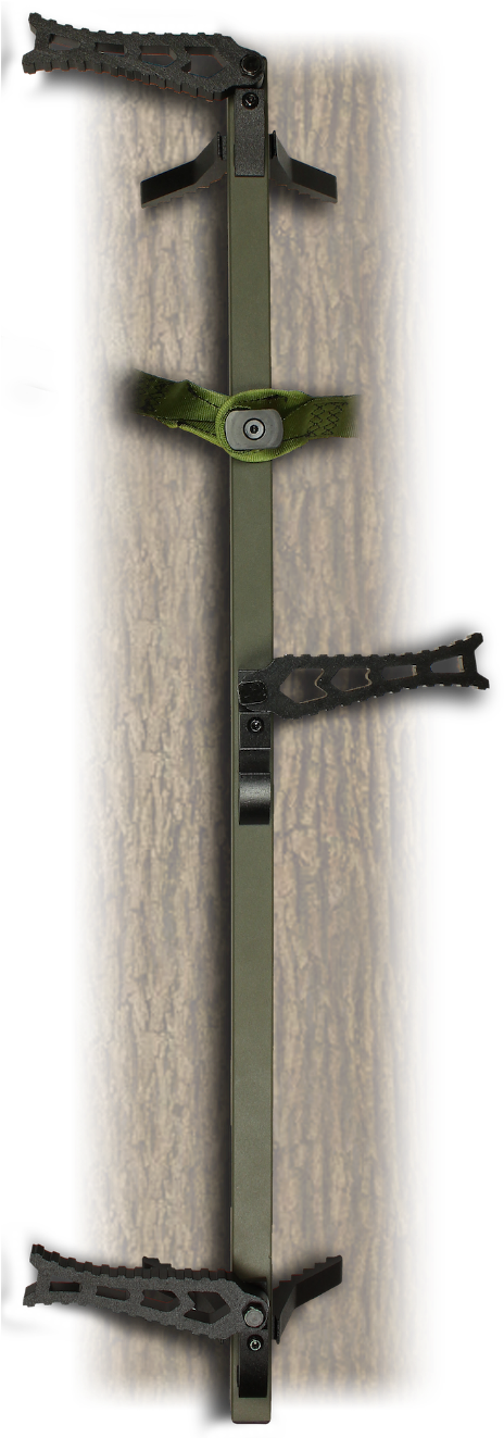 Congratulations! The PNG Image Has Been Downloaded (Recalled Xop ...