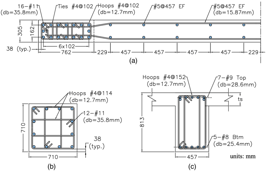 Congratulations! The PNG Image Has Been Downloaded (Cross Section Of ...