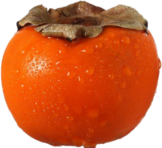 Congratulations! The PNG Image Has Been Downloaded (Persimmon Png ...