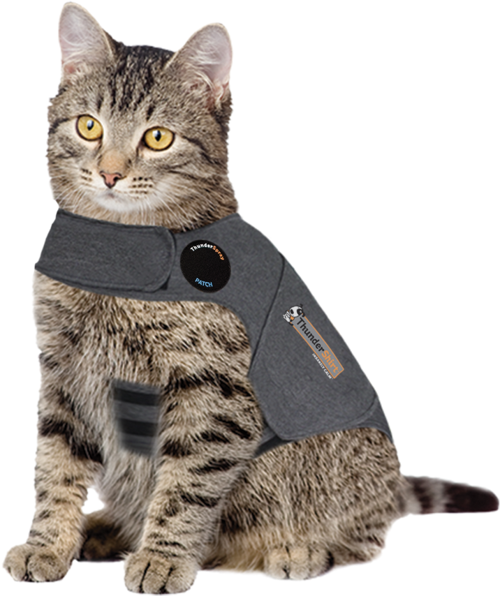 Congratulations! The PNG Image Has Been Downloaded (Thundershirt For ...