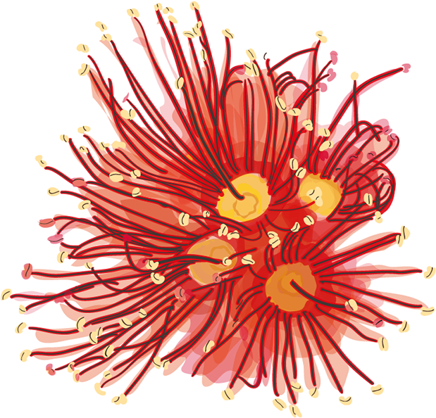 Congratulations! The PNG Image Has Been Downloaded (Rata Flower Png ...
