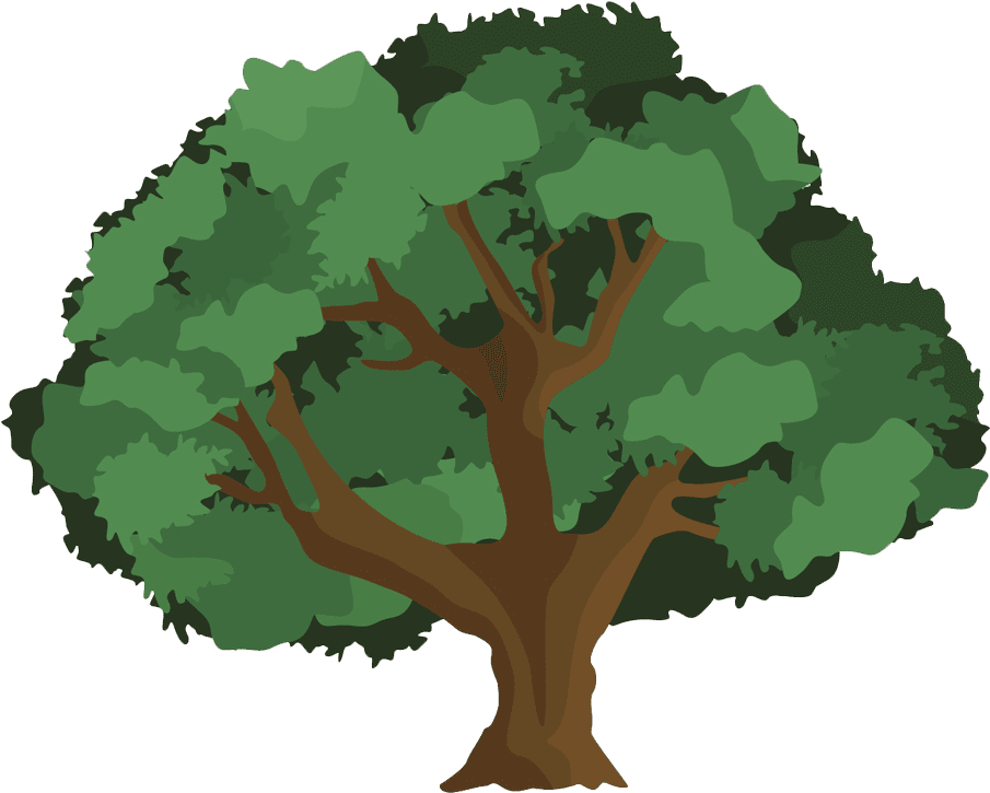Congratulations! The PNG Image Has Been Downloaded (Clip Art Hd Tree Of ...