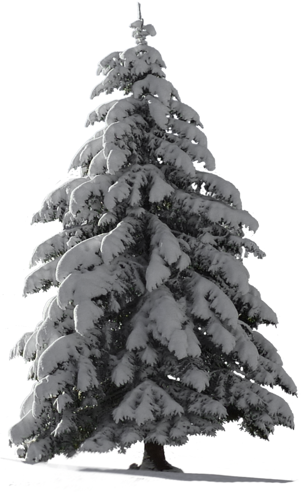 Congratulations! The PNG Image Has Been Downloaded (Christmas Png ...