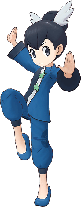 Congratulations! The PNG Image Has Been Downloaded (Tate Pokemon, HD ...