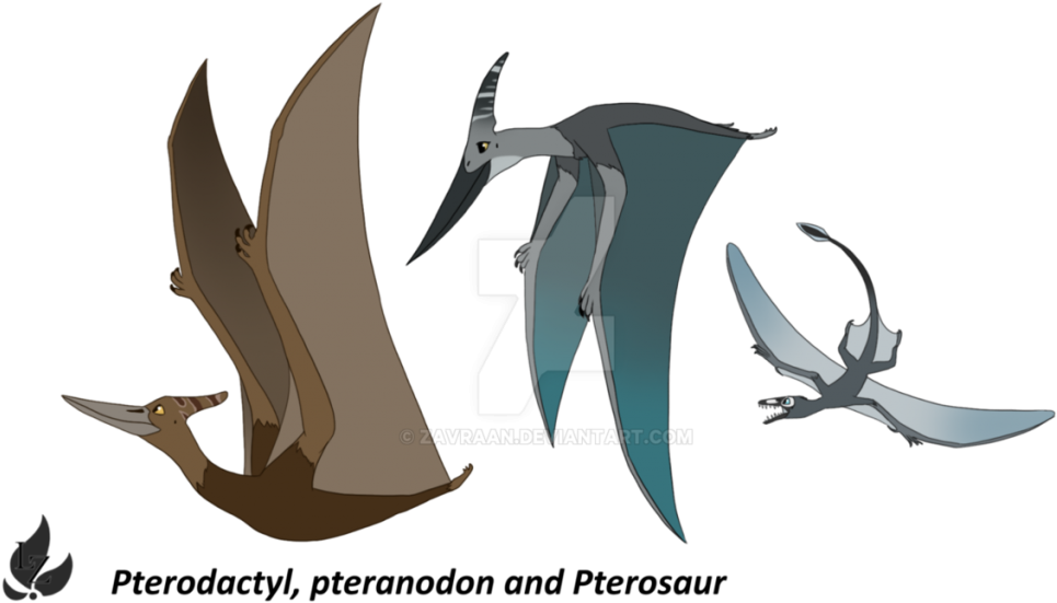 Congratulations! The PNG Image Has Been Downloaded (Download Pterosaurs ...