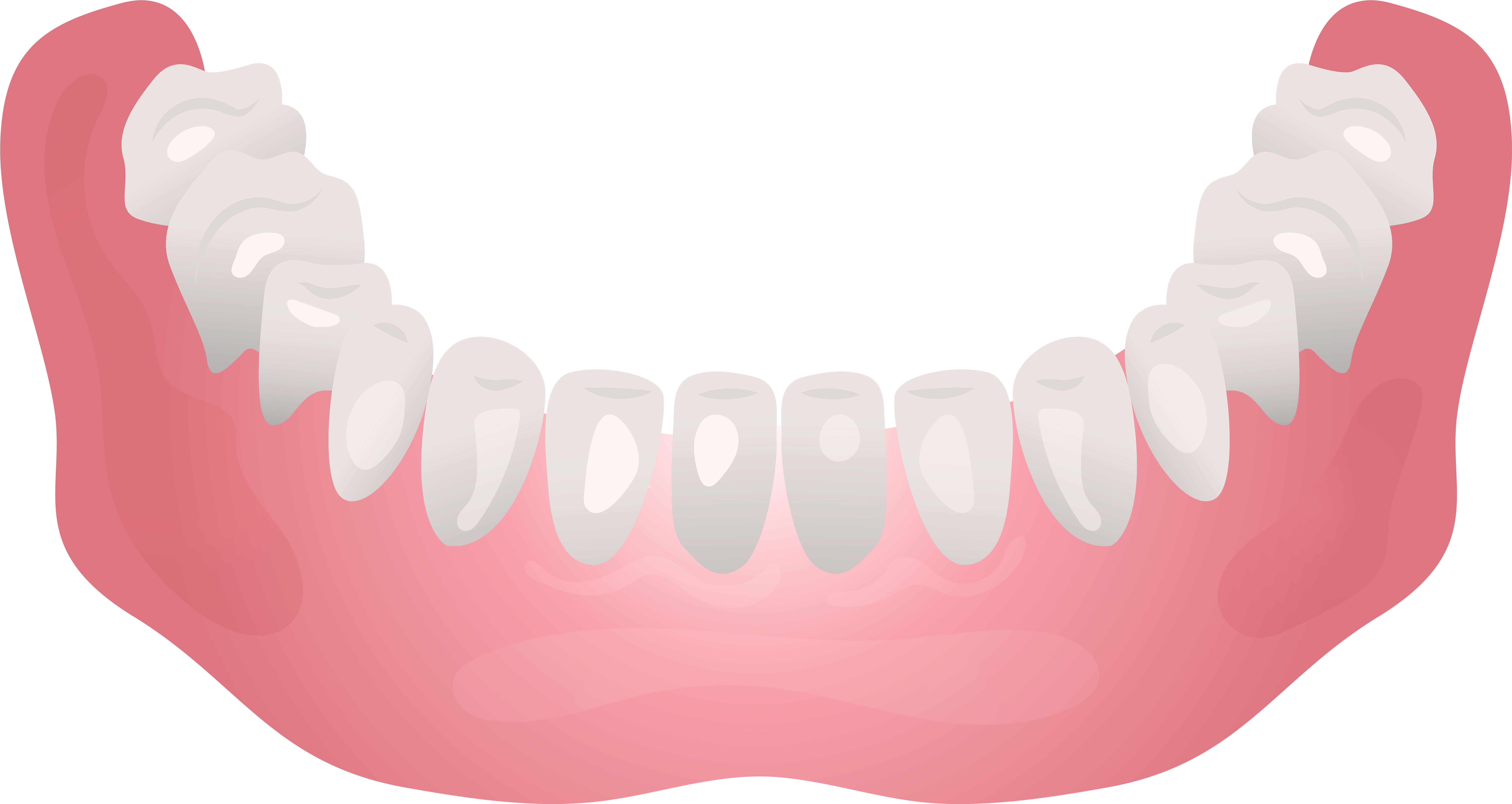 Congratulations! The PNG Image Has Been Downloaded (Bottom Human Jaw ...