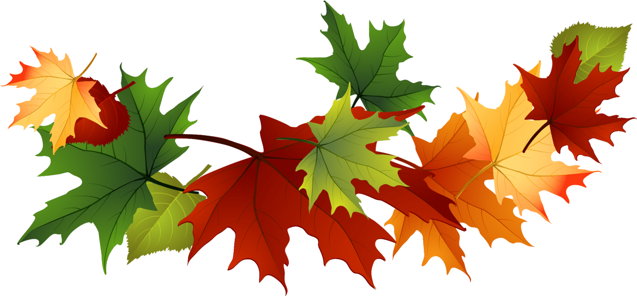 Congratulations The Png Image Has Been Downloaded Transparent Fall