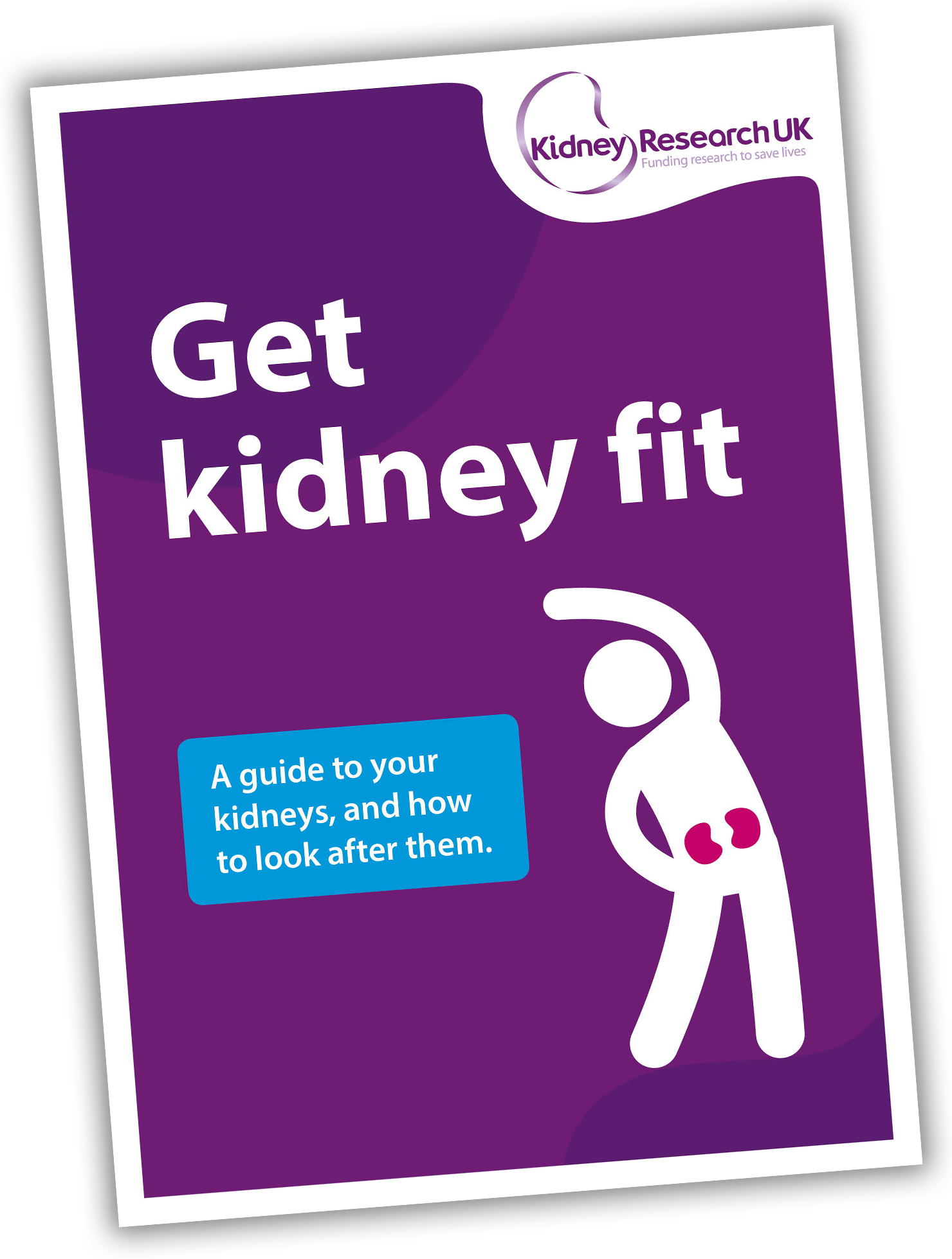 Congratulations! The PNG Image Has Been Downloaded (Kidney-fit Packshot ...