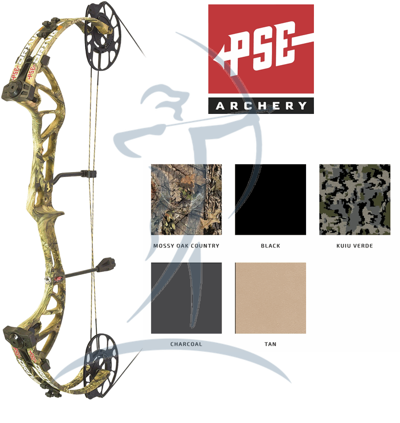 Congratulations! The PNG Image Has Been Downloaded (3pk Ek Archery ...