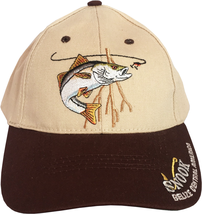 Congratulations! The PNG Image Has Been Downloaded (Belize Snook Fish ...