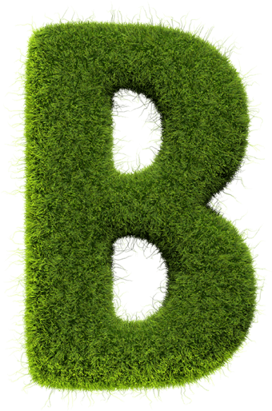 Congratulations! The PNG Image Has Been Downloaded (Tennis Grass Font ...