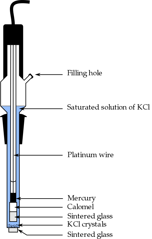 Congratulations! The PNG Image Has Been Downloaded (Saturated Calomel ...