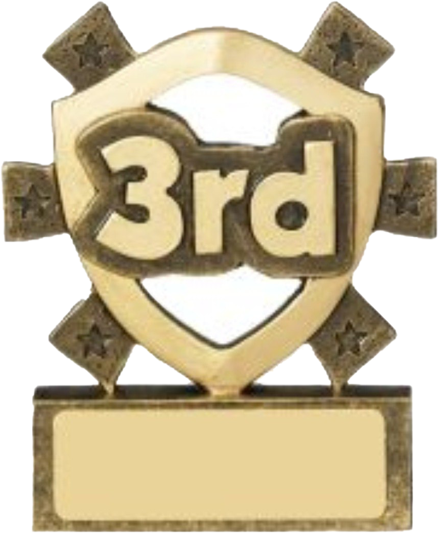 Congratulations! The PNG Image Has Been Downloaded (Third Place Trophy ...