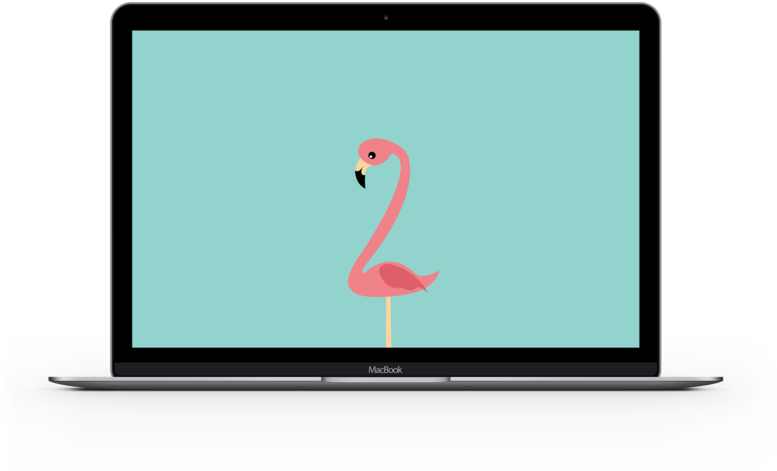 Congratulations! The PNG Image Has Been Downloaded (Flamingo Laptop ...