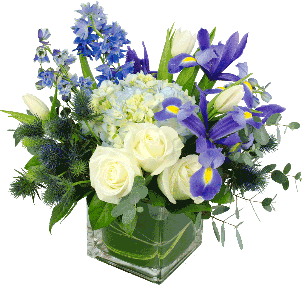 Congratulations! The PNG Image Has Been Downloaded (Clip Art Truly ...