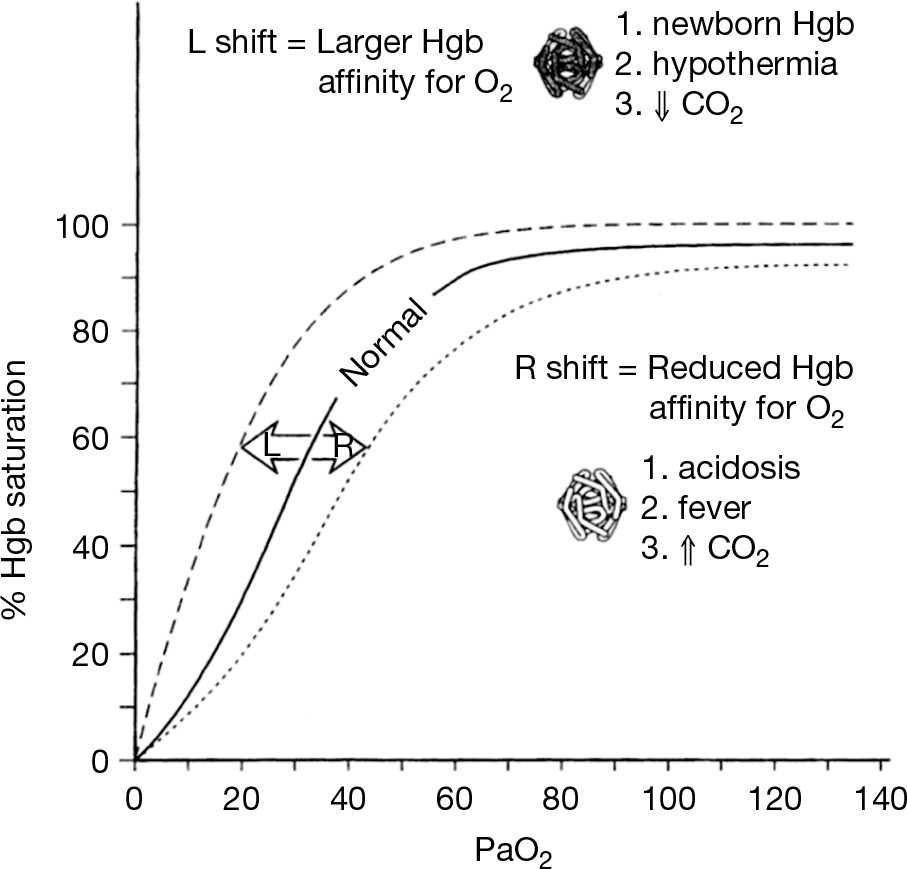 Congratulations! The PNG Image Has Been Downloaded (Twitch Kappa Png ...