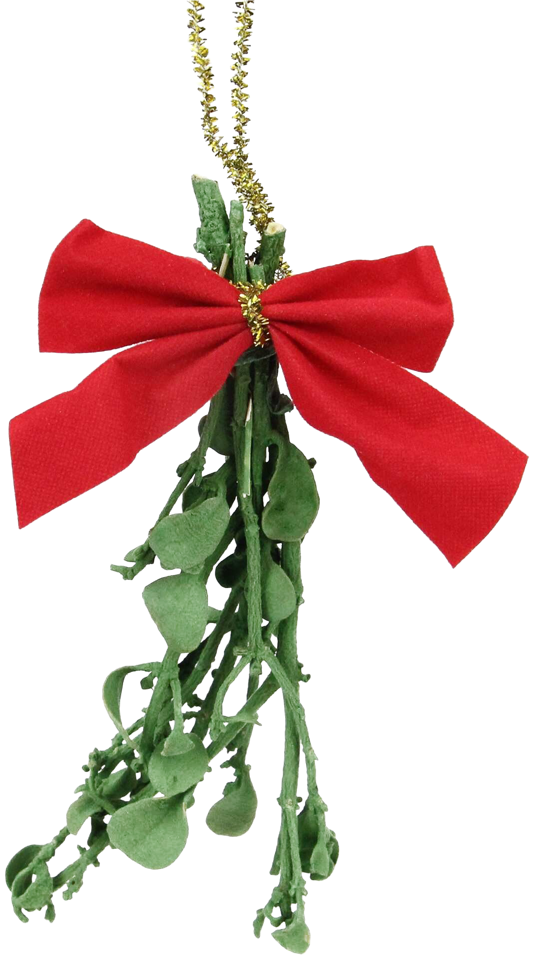 Congratulations! The PNG Image Has Been Downloaded (Real Mistletoe Png ...