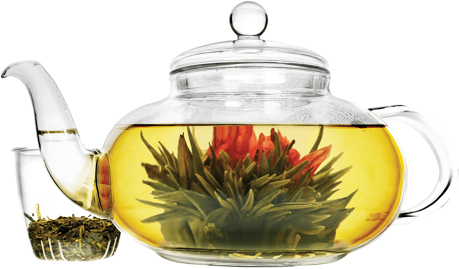 Congratulations! The PNG Image Has Been Downloaded (Daisy 40 Oz Glass ...