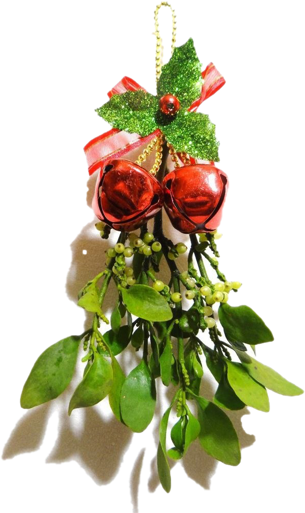 Congratulations! The PNG Image Has Been Downloaded (Real Mistletoe ...