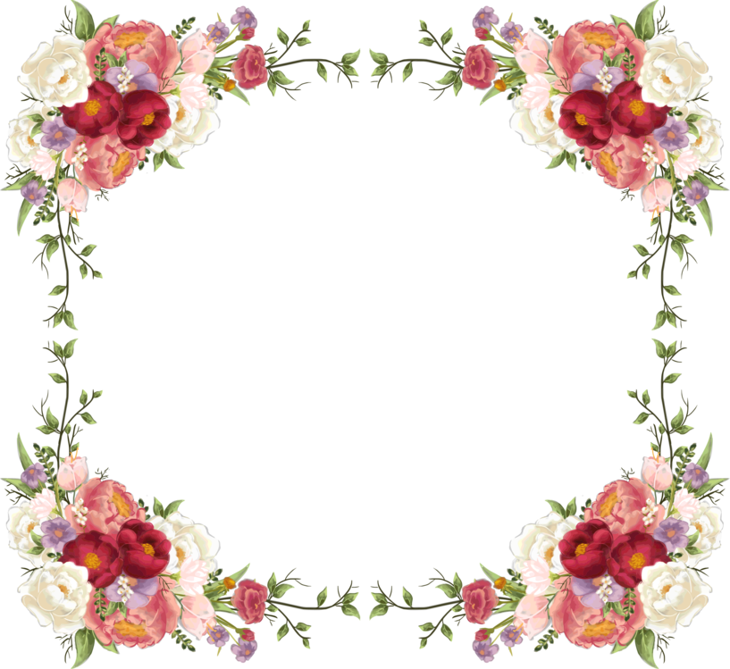 Congratulations! The PNG Image Has Been Downloaded (Picture Frame,plant ...