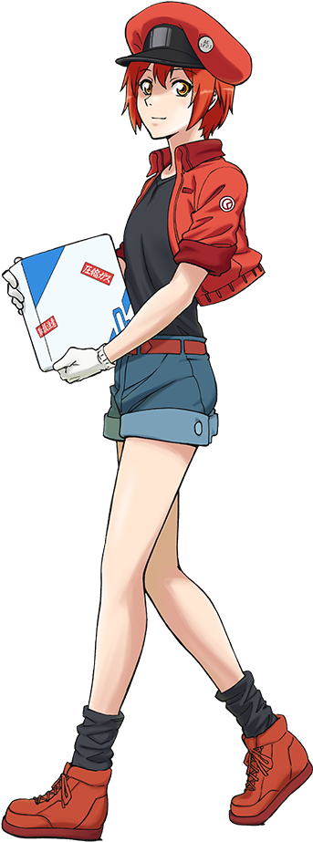 Congratulations! The PNG Image Has Been Downloaded (Cells At Work Red ...