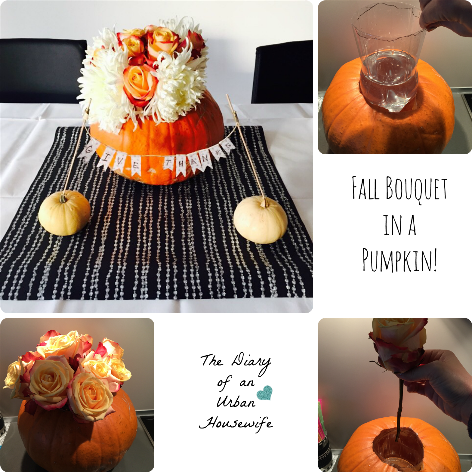 Congratulations! The PNG Image Has Been Downloaded (Pumpkin, HD Png ...