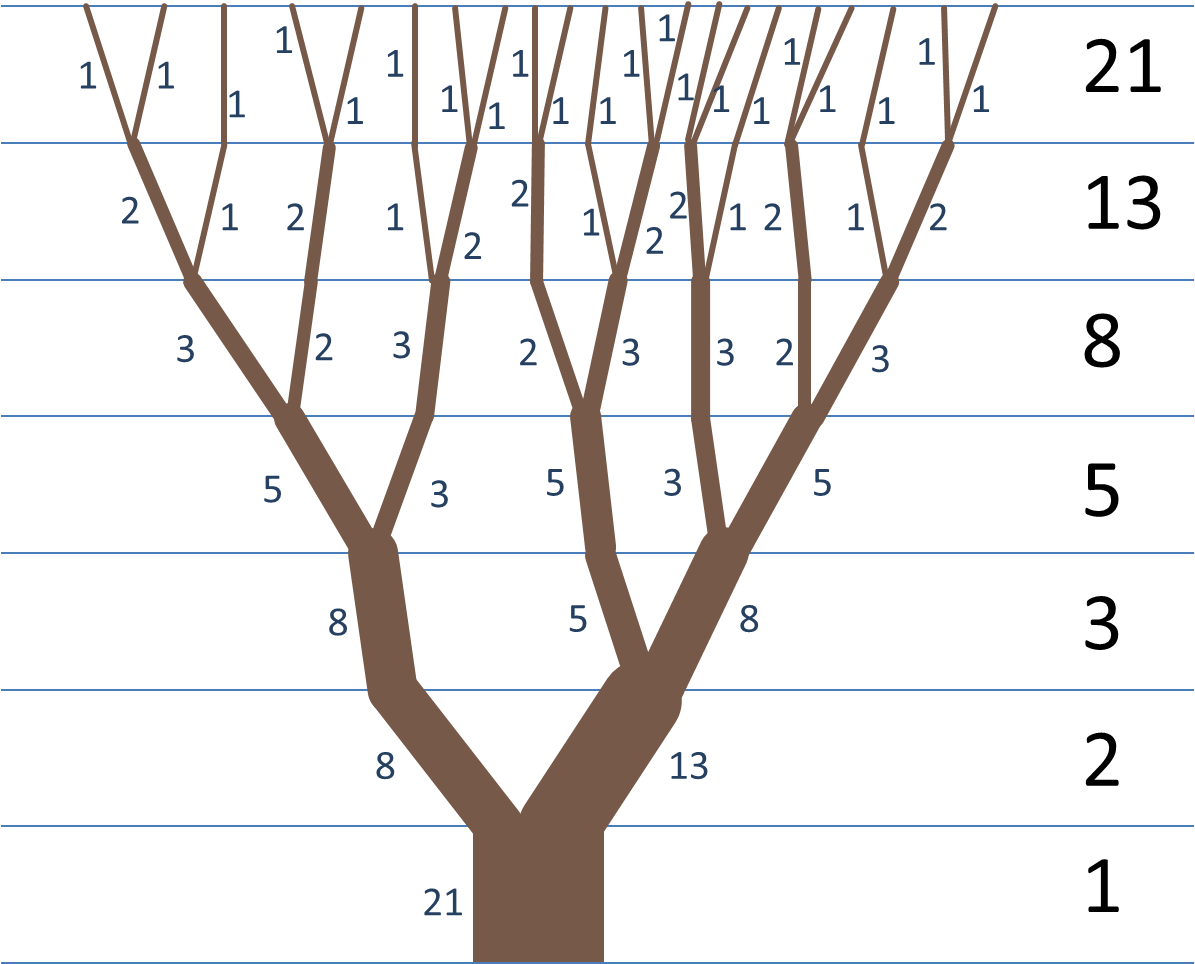 Congratulations! The PNG Image Has Been Downloaded (Fibonacci Sequence ...