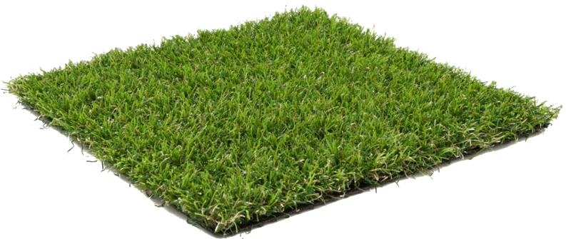 Congratulations! The PNG Image Has Been Downloaded (Beach Grass Png ...