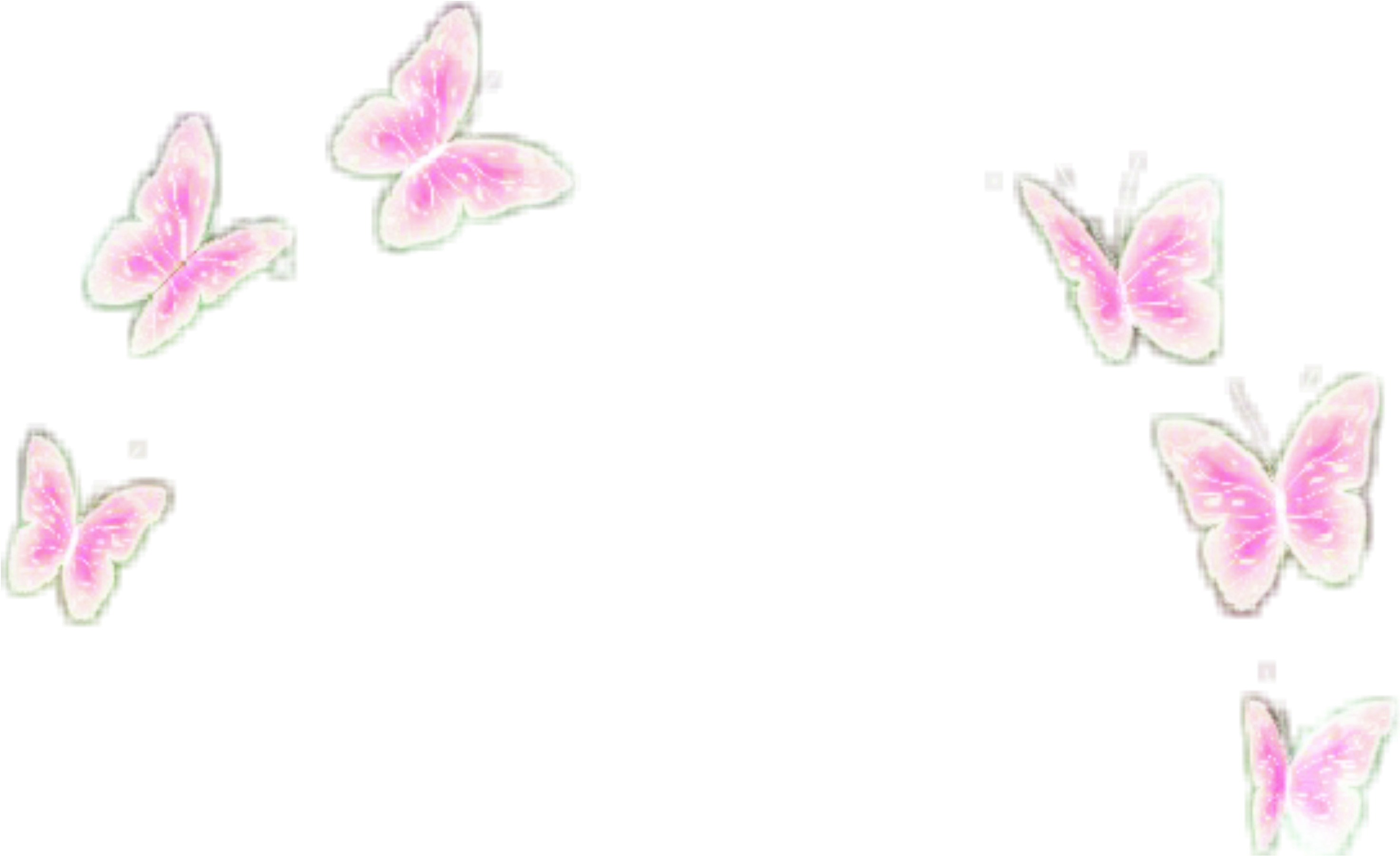 Congratulations! The PNG Image Has Been Downloaded (#pink #butterflies ...