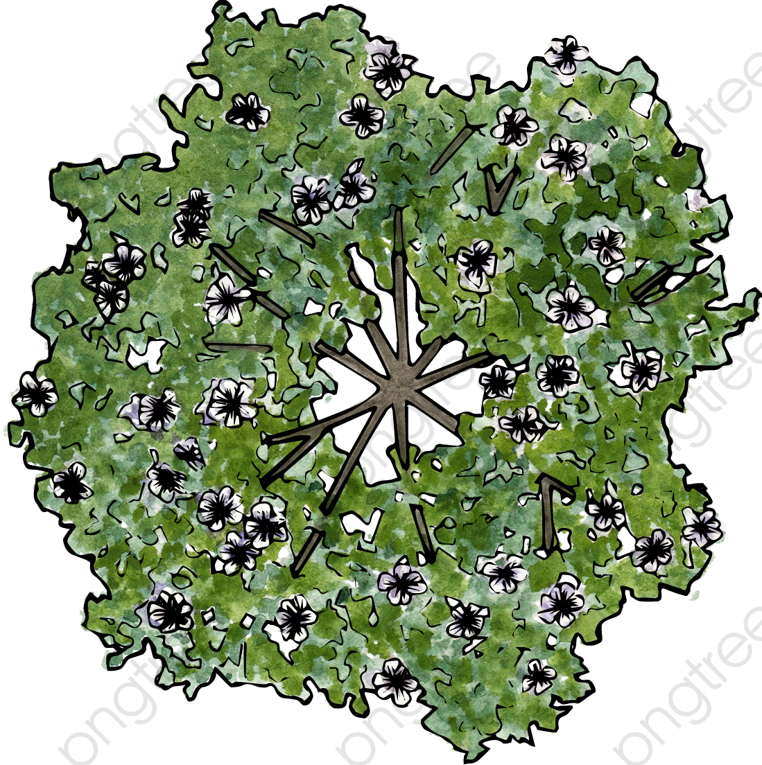 Congratulations! The PNG Image Has Been Downloaded (The Flowers On The ...