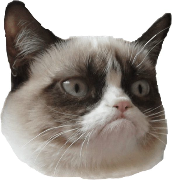 Congratulations! The PNG Image Has Been Downloaded (Grumpy Cat Is ...