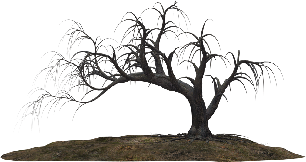 Congratulations! The PNG Image Has Been Downloaded (Creepy Tree 19 By ...