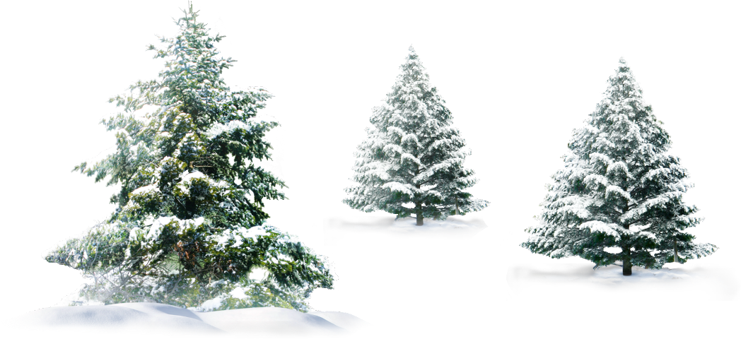 Congratulations! The PNG Image Has Been Downloaded (Transparent ...