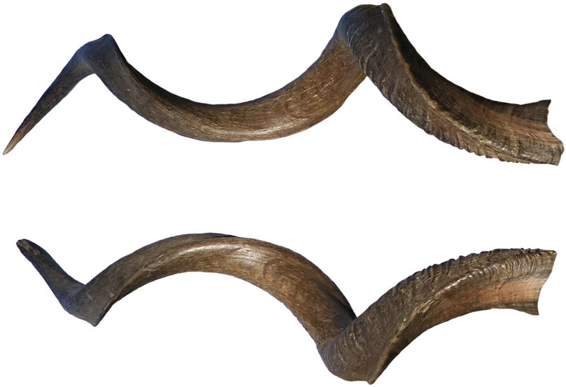 Congratulations! The PNG Image Has Been Downloaded (Horns, Demon ...