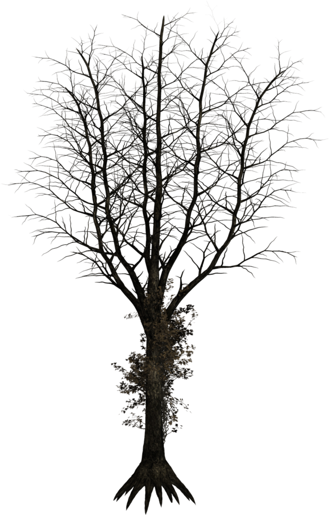 Congratulations! The PNG Image Has Been Downloaded (Black Trees Png ...