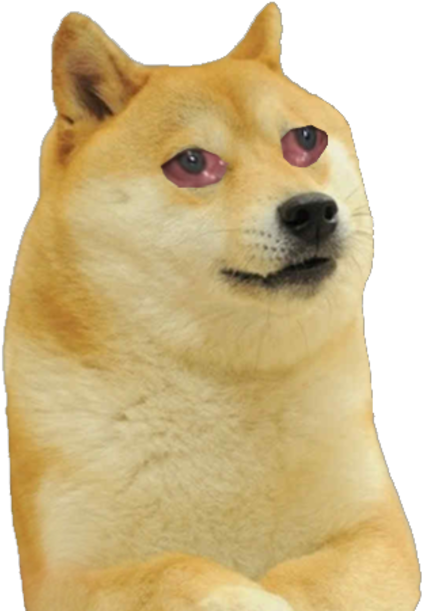 Congratulations! The PNG Image Has Been Downloaded (Shiba Inu Dog ...