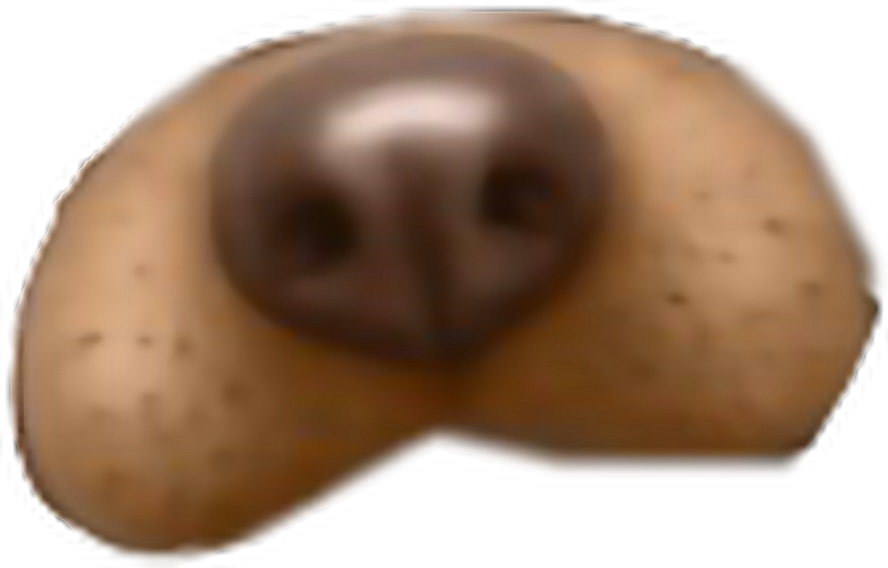 Congratulations! The PNG Image Has Been Downloaded (#dog #filter # ...