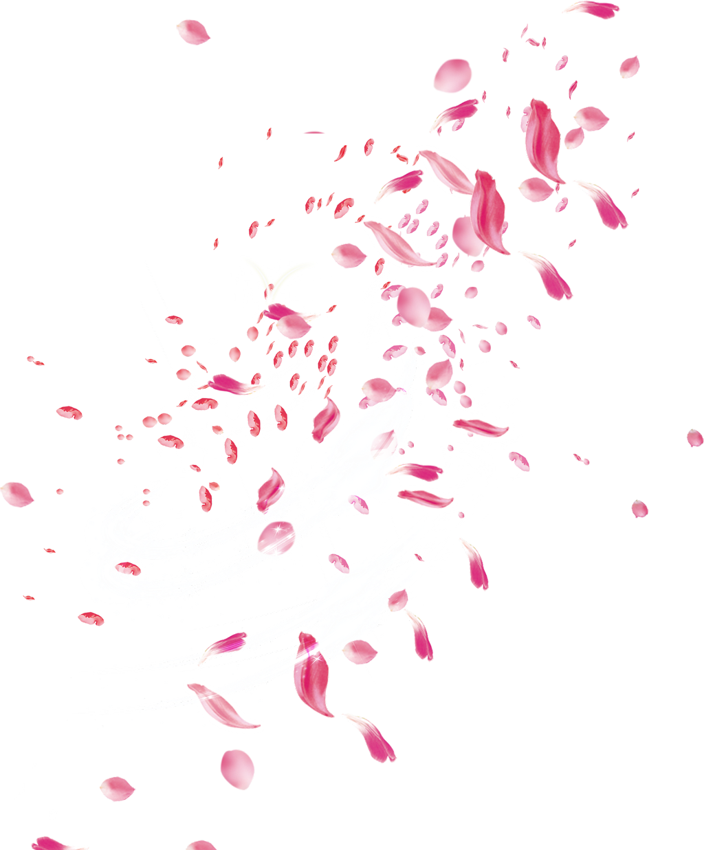 Congratulations! The PNG Image Has Been Downloaded (Pink Rose Petals ...