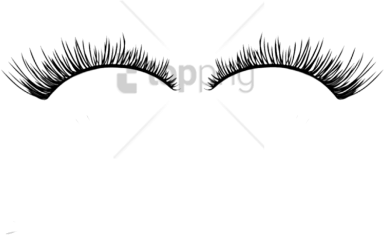 Congratulations! The PNG Image Has Been Downloaded (Eyelash Transparent ...