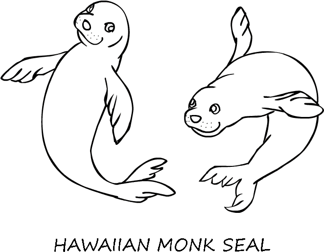 Congratulations! The PNG Image Has Been Downloaded (Monk The Little Dog ...