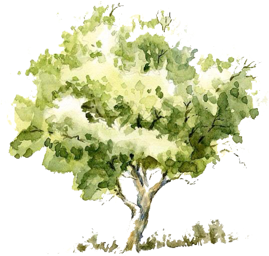 Congratulations! The PNG Image Has Been Downloaded (Watercolor Tree Png ...