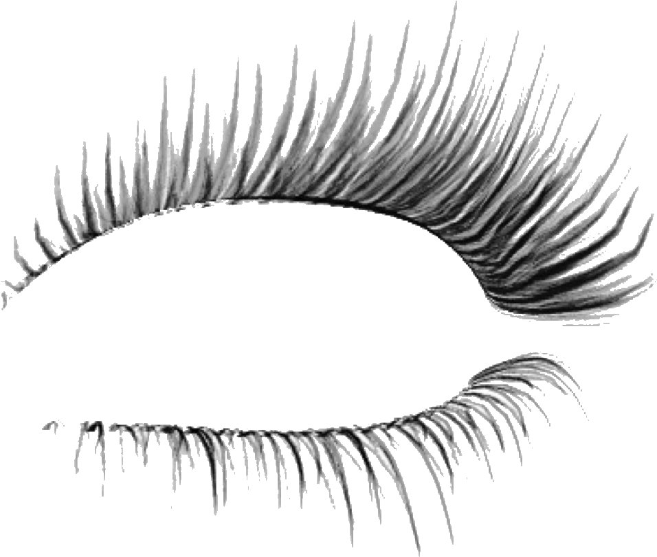 Congratulations! The PNG Image Has Been Downloaded (#eyelash #beauty # ...