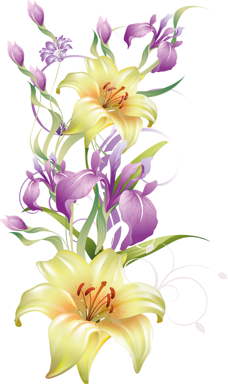 Congratulations! The PNG Image Has Been Downloaded (Thumb Image - Thank ...