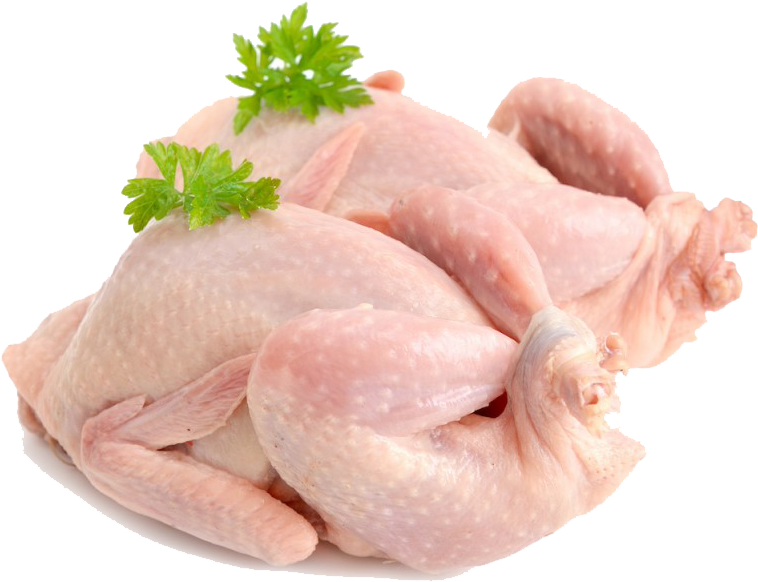 Congratulations! The PNG Image Has Been Downloaded (Chicken - Fresh ...