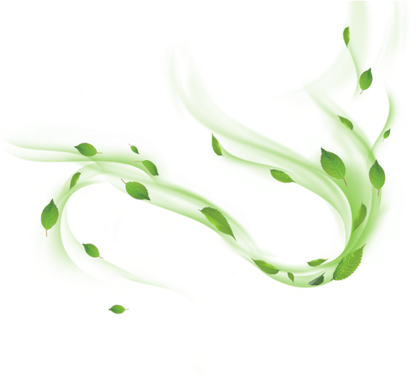 Congratulations! The PNG Image Has Been Downloaded (#mq #green #leaves ...