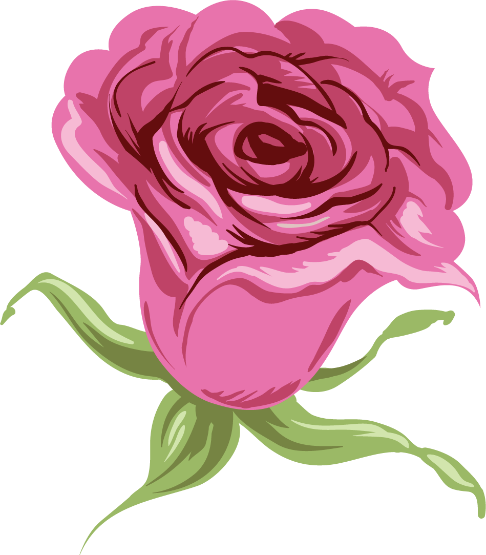 Congratulations! The PNG Image Has Been Downloaded (Hybrid Tea Rose, HD ...